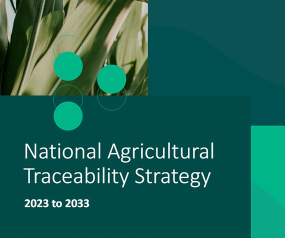 Centre for eResearch and Digital Innovation (CeRDI)