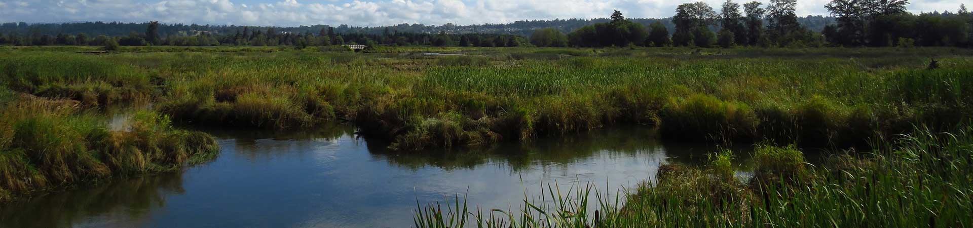 Centre for eResearch and Digital Innovation (CeRDI)