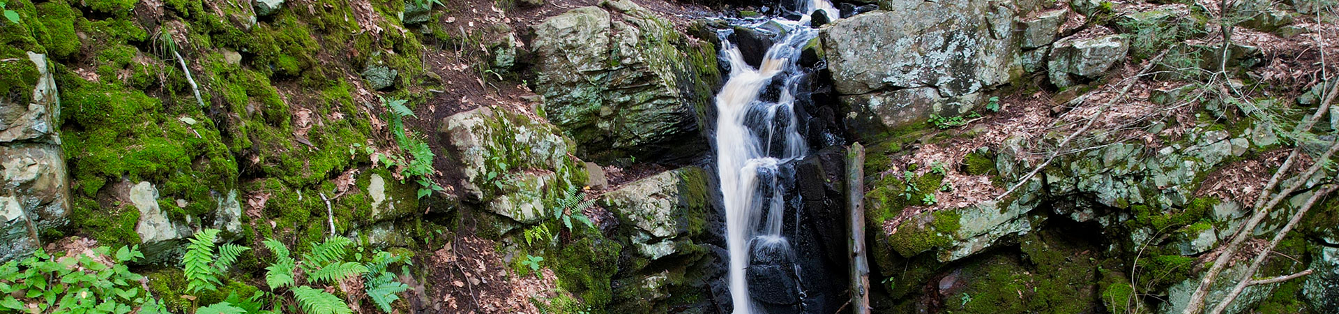 Centre for eResearch and Digital Innovation (CeRDI)